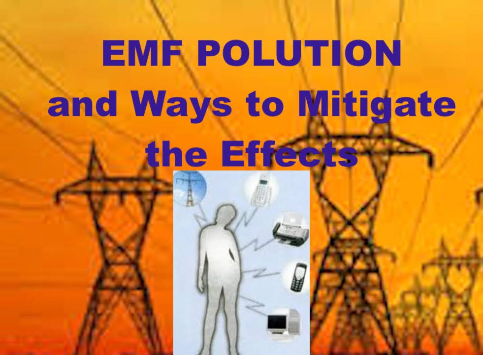 Preston James: ElectroMagneticFrequency (EMF) Pollution and Ways to ...