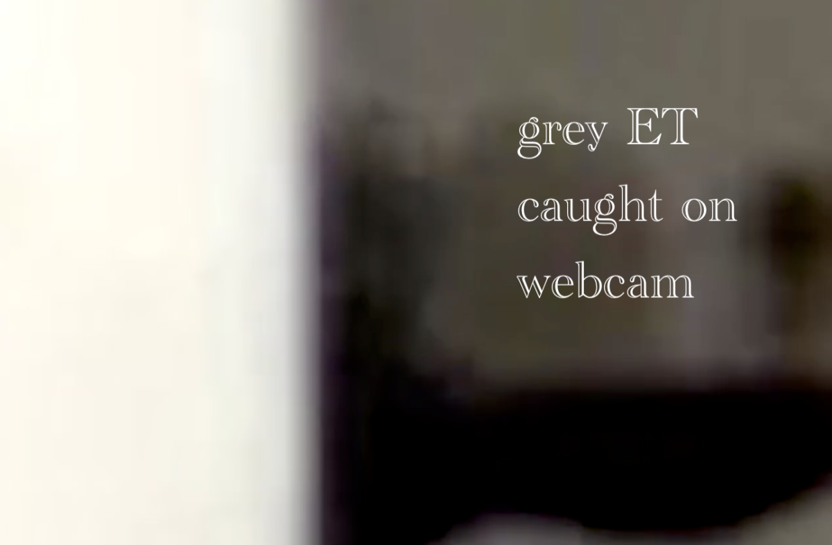 2 GREY ETS CAUGHT ON WEBCAM | PROJECT CAMELOT