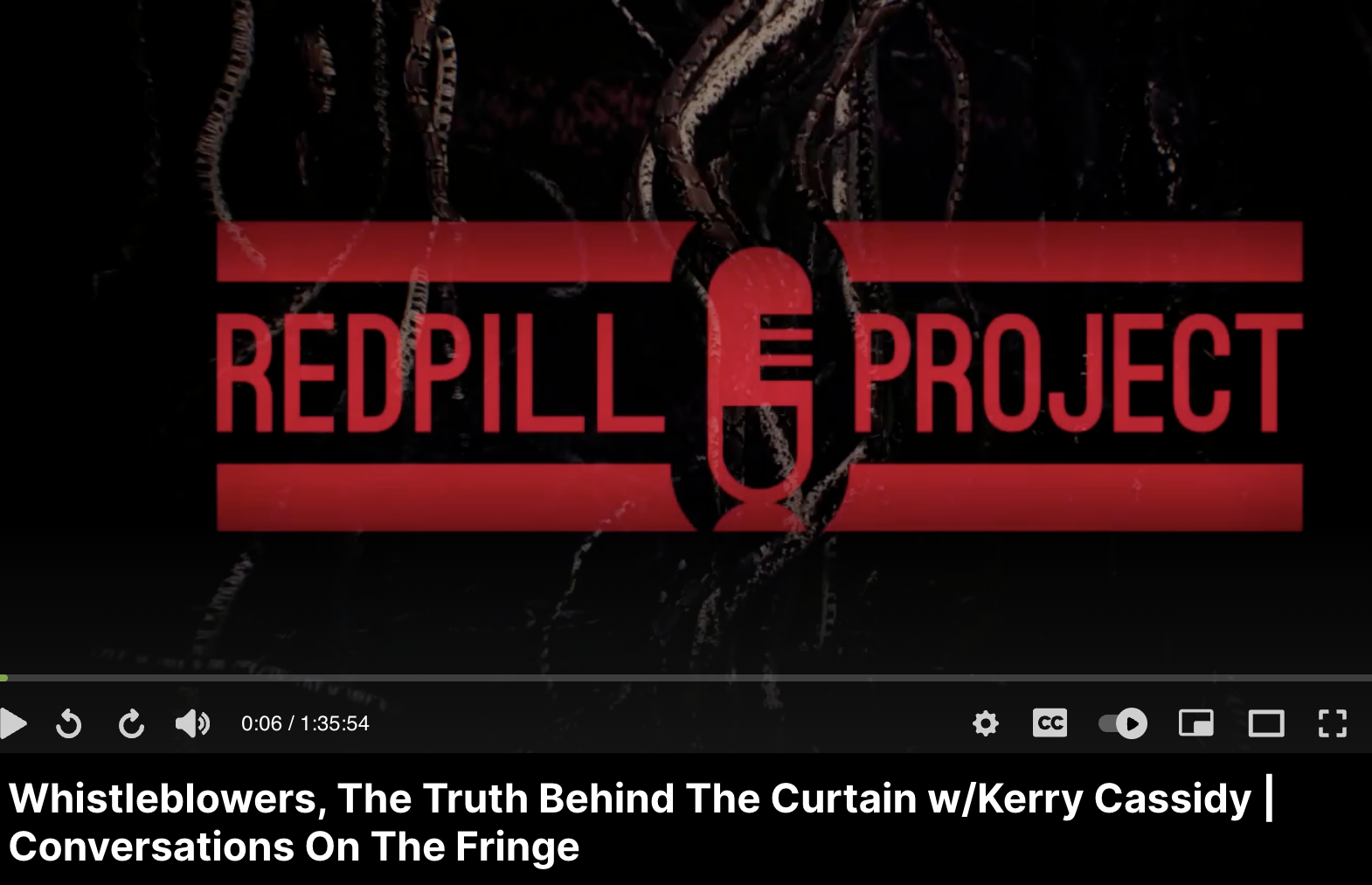 KERRY INTERVIEWED BY JEFF FROM RED PILL PROJECT | PROJECT CAMELOT
