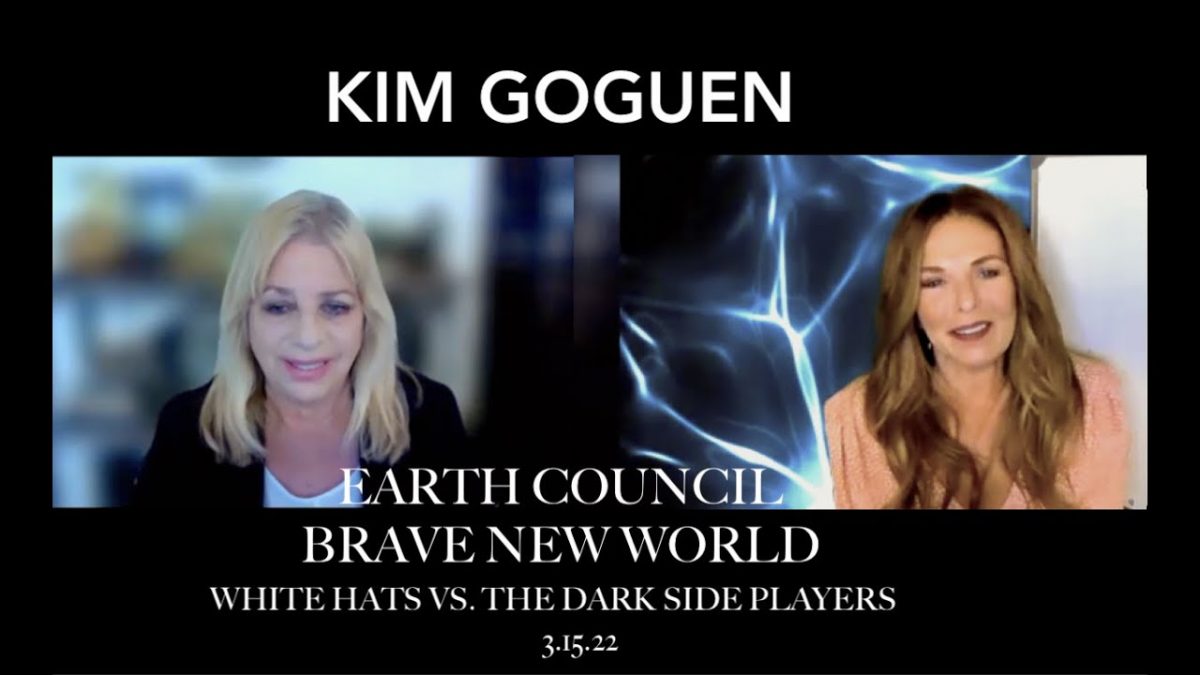 KIM GOGUEN: INTERVIEW 3: BRAVE NEW WORLD: WHITE HATS AND DARK SIDE ...
